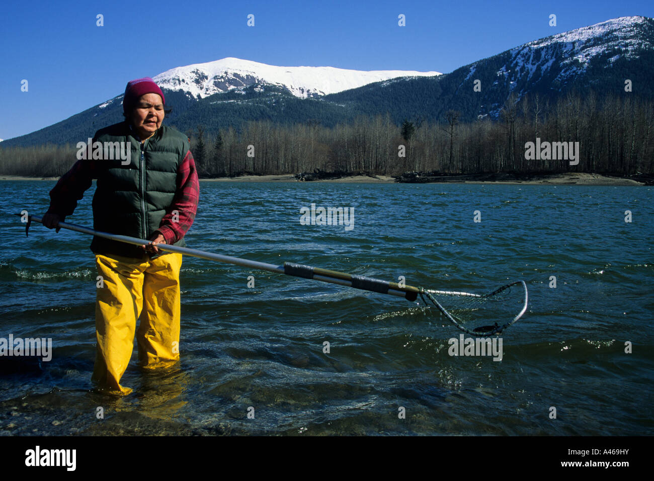 First Nations lady catching eulachon on the lower Skeena River near ...