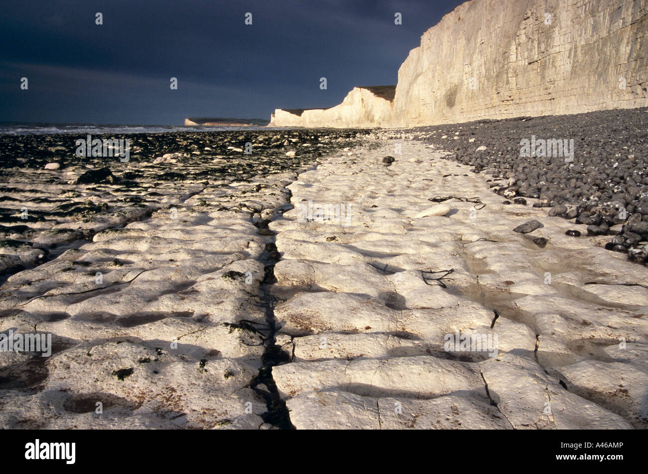 Chalk forms under Seven Sisters cliffs, Birling Gap, Eeast Sussex Stock ...