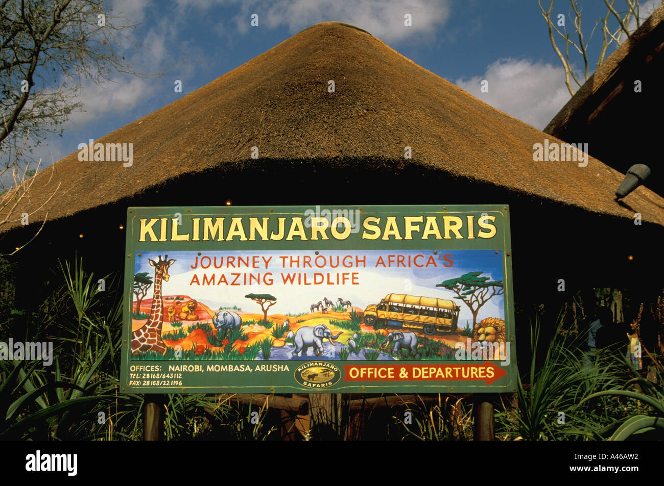 Kilimanjaro Safaris Logo Kilimanjaro Safari At Animal Kingdom