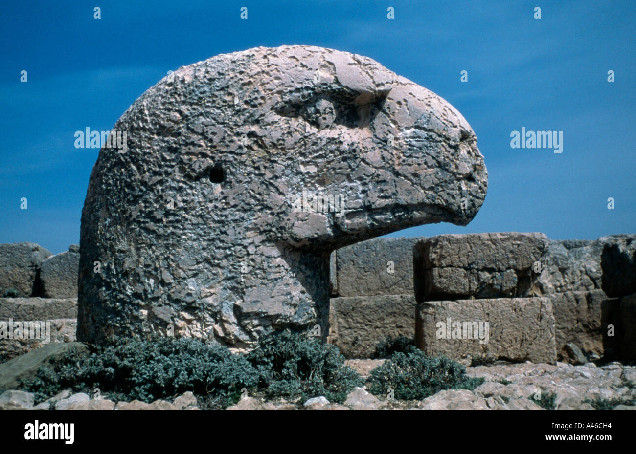 Eagle sculpture Kahta Stock Photo - Alamy