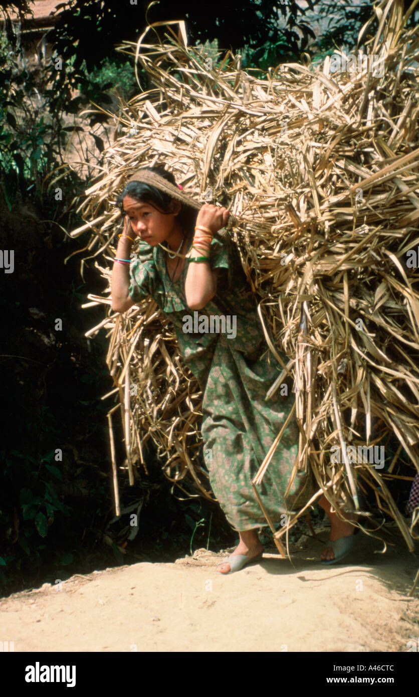 Carrying hay in nepal hi-res stock photography and images - Alamy