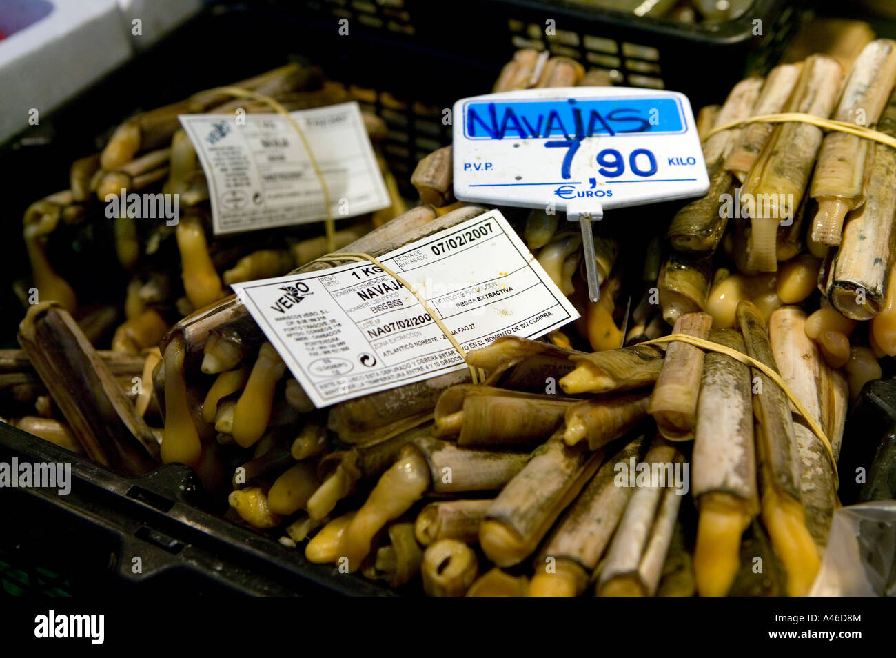 Razor clams hi-res stock photography and images - Alamy