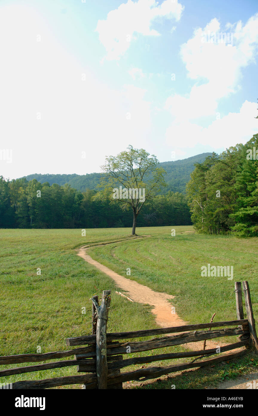 A rural pathway Stock Photo - Alamy
