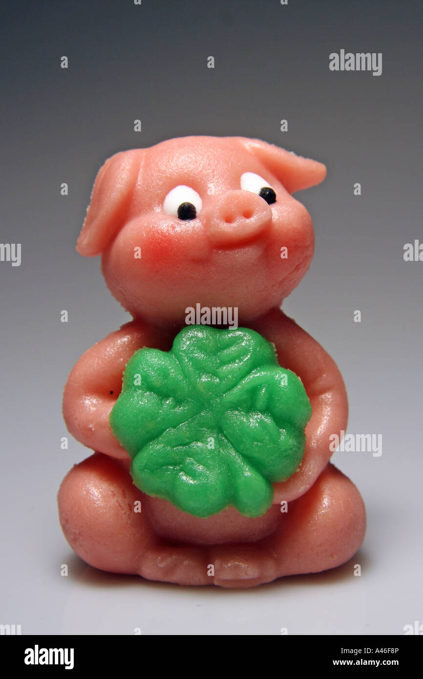Four leaf clover and happy pig hi-res stock photography and images - Alamy