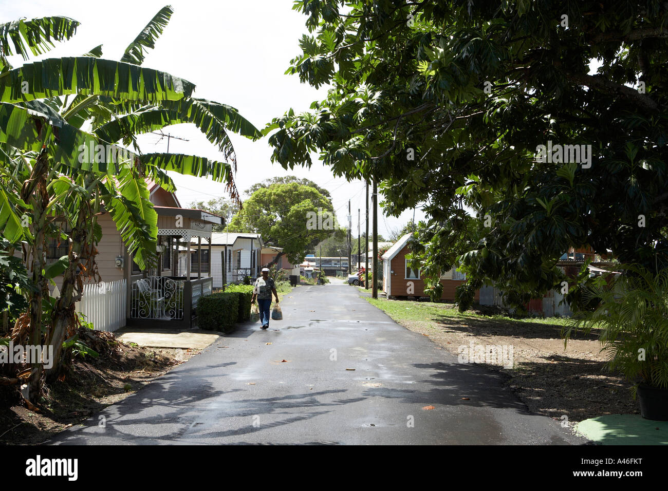 Rural road in Barbados Stock Photo - Alamy