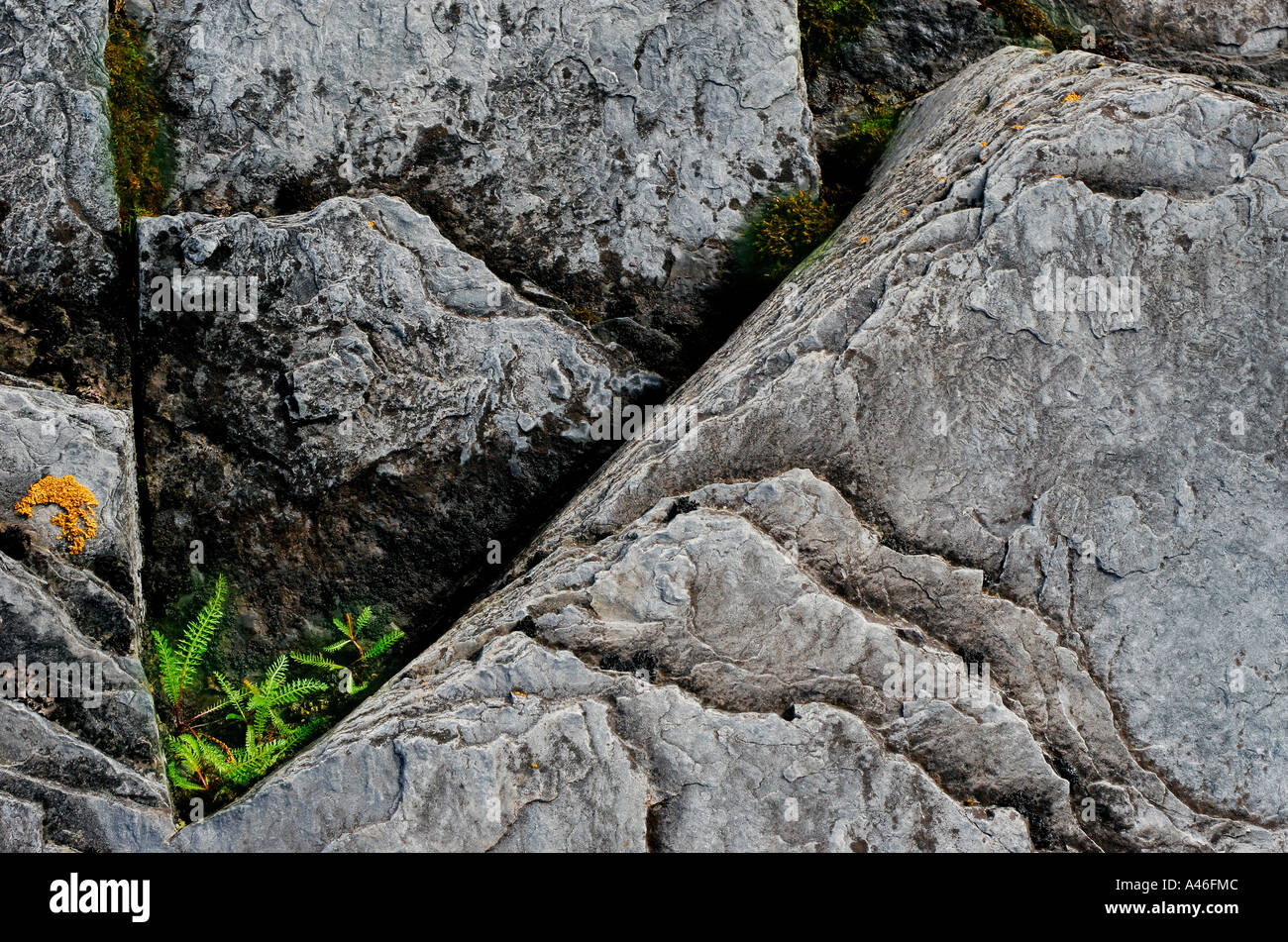 Closeup of rocks Stock Photo - Alamy