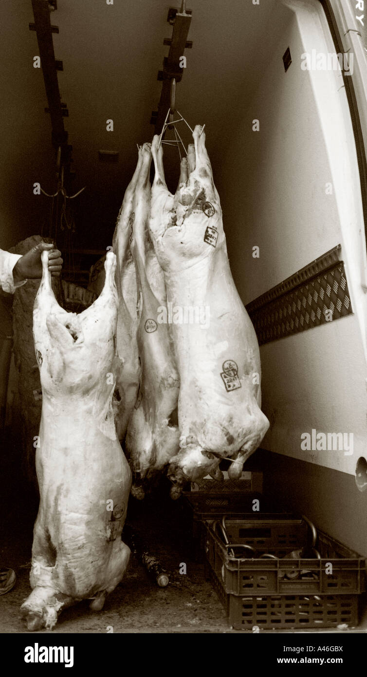Hanging Sheep on Borough Market, Southwark, London, UK Stock Photo - Alamy