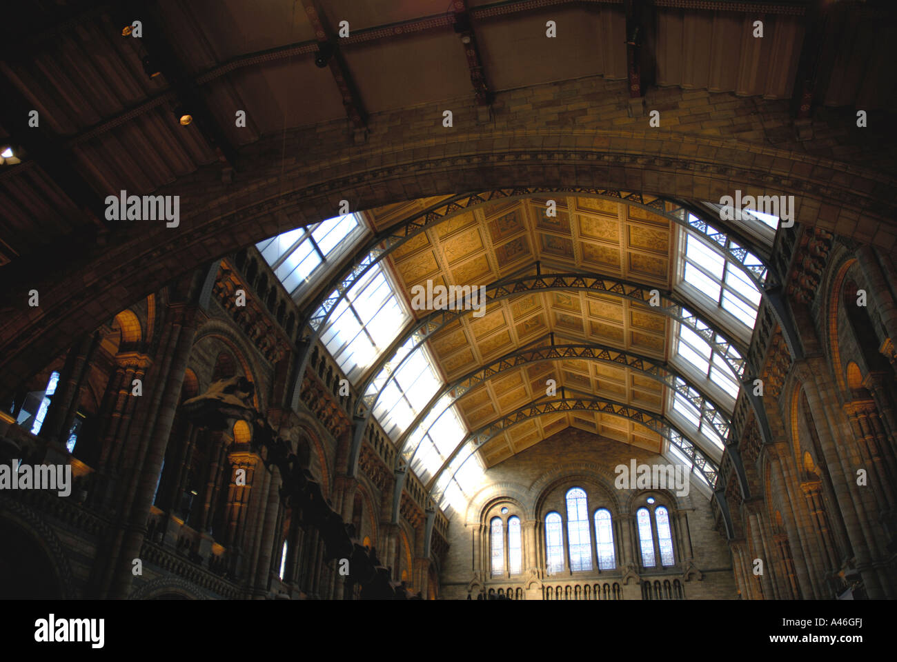 The Natural History Museum in the Waterhouse building , London, UK ...