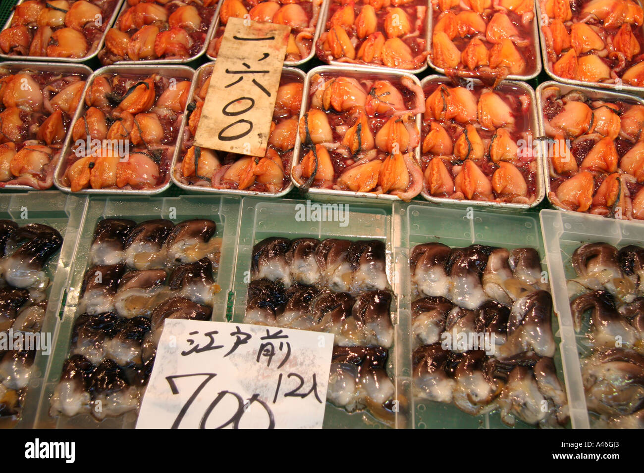 Fish market Tokyo Tokio Fischmarkt Stock Photo - Alamy