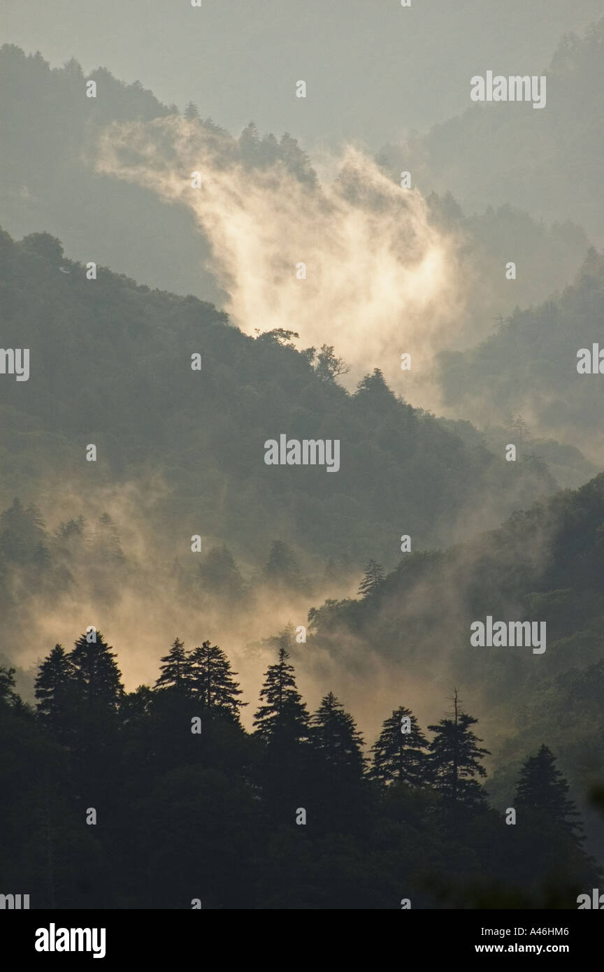 Mist Rising In The Mountains Great Smoky Mountains National Park ...