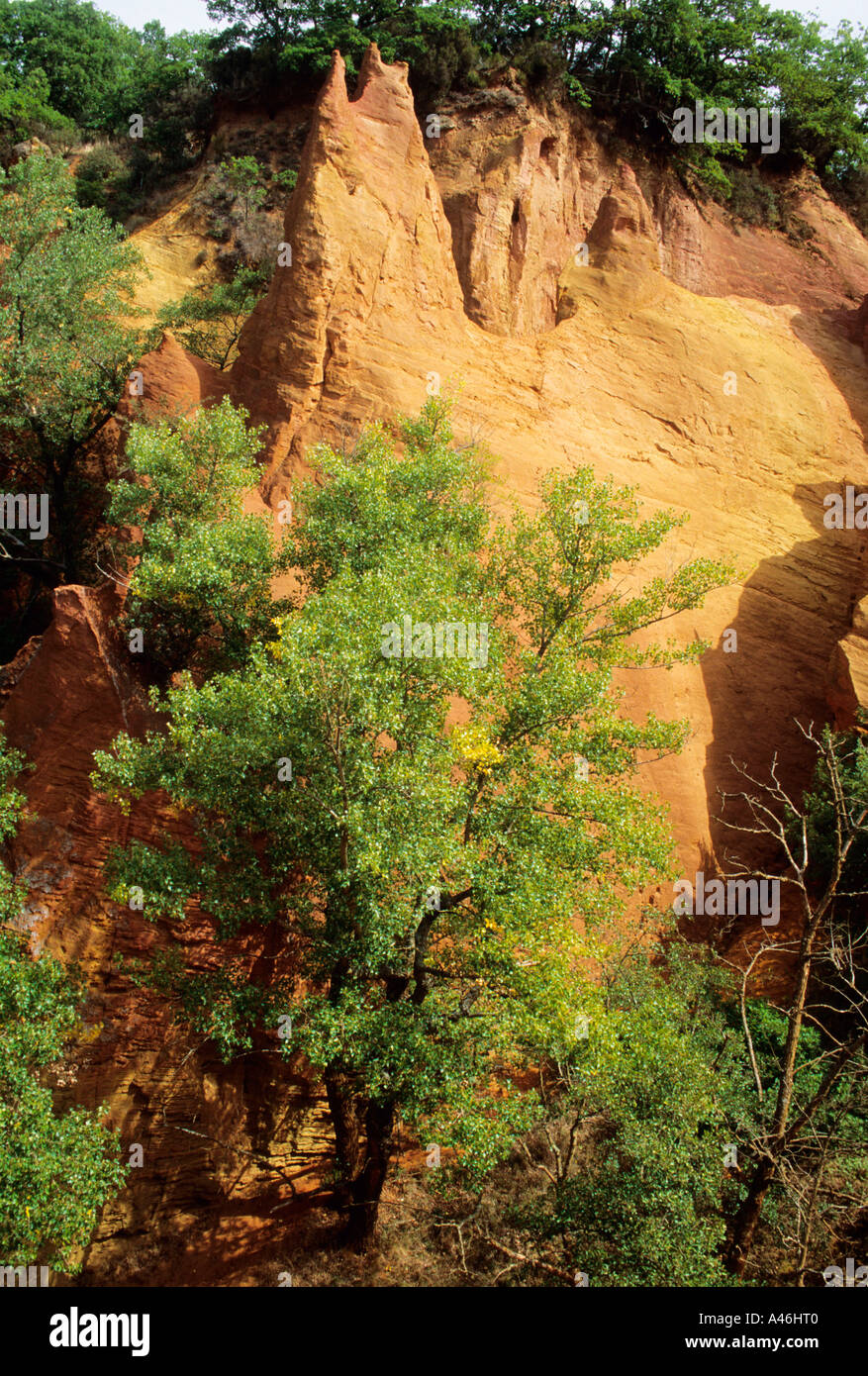 Ockerfelsen hi-res stock photography and images - Alamy