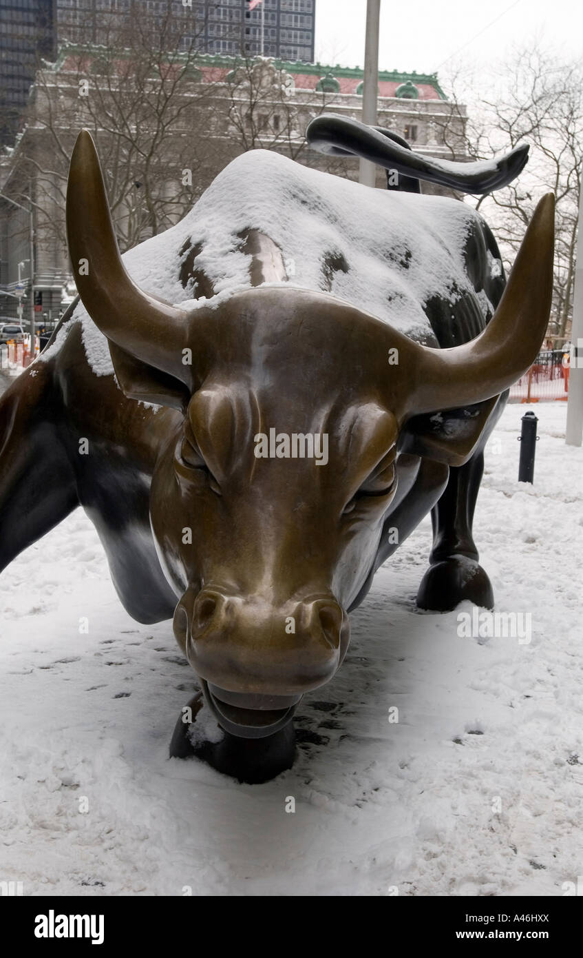 Charging bull snow hi-res stock photography and images - Alamy