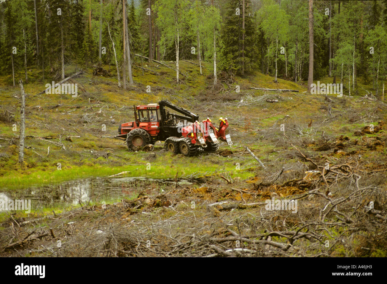 Timber industry caterpillar work hi-res stock photography and images ...