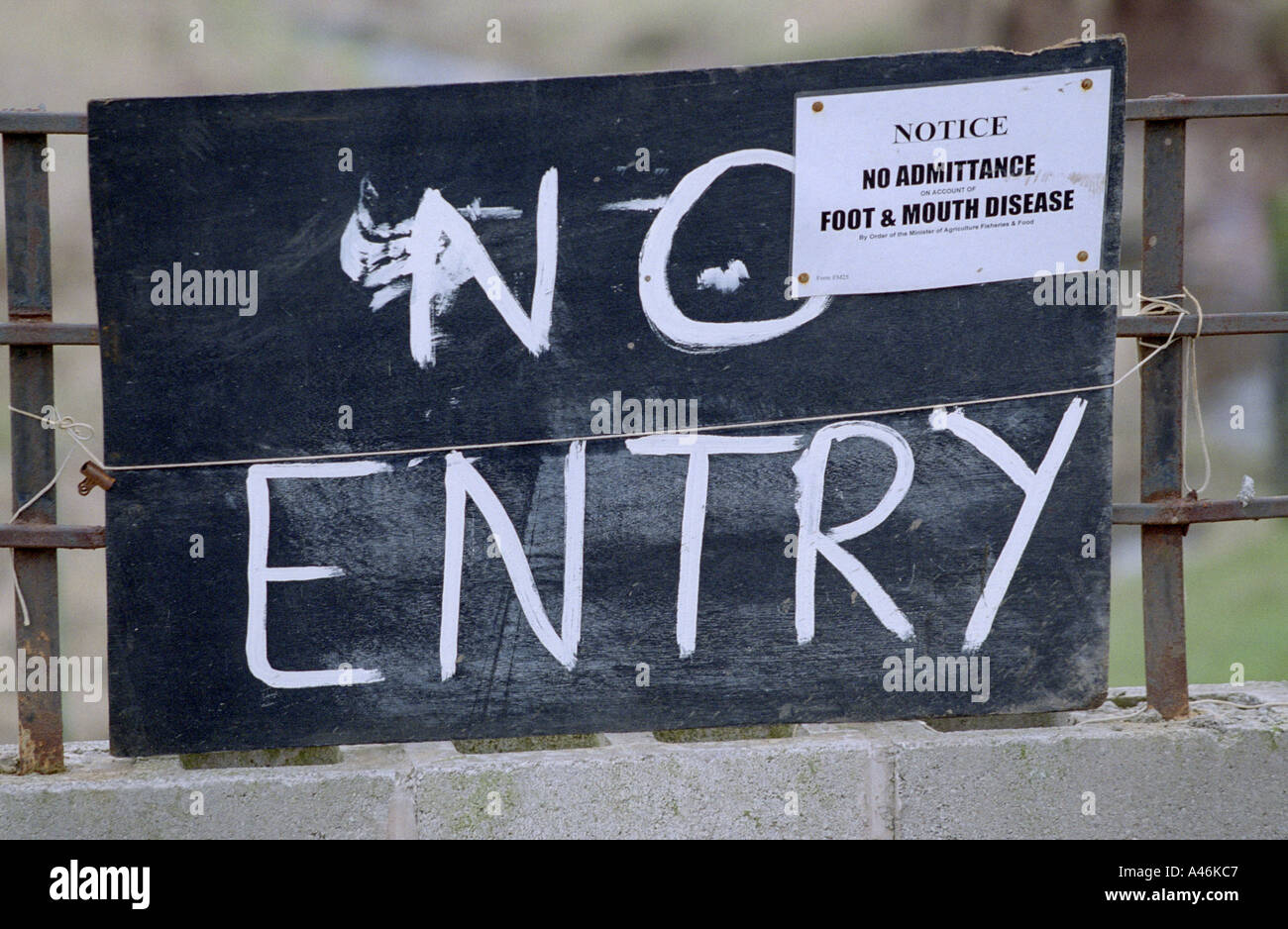 foot and mouth disease in cumbria england a no entry sign is posted at ...