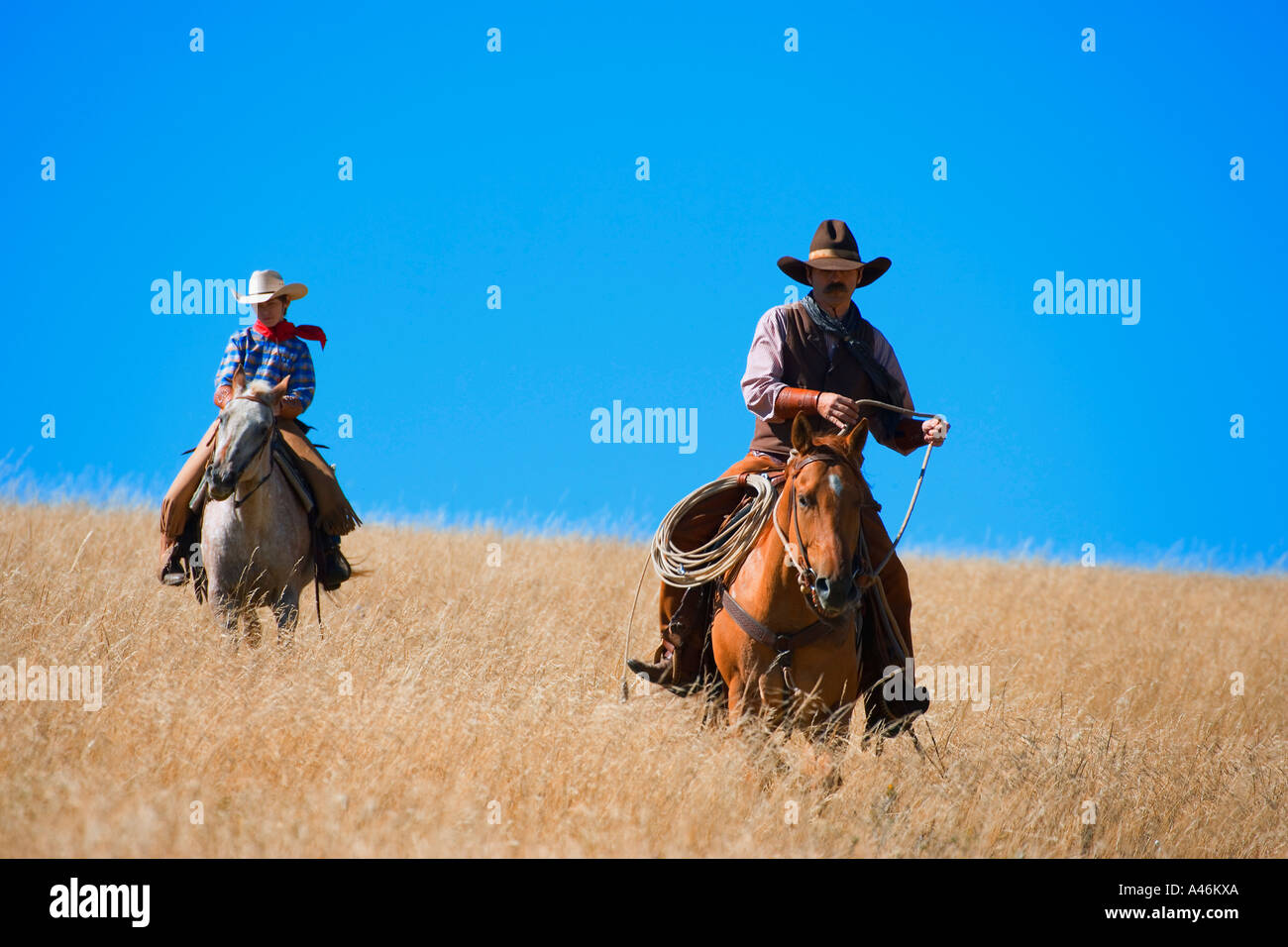 Two cowboys in a field, Alberta, Canada Stock Photo - Alamy