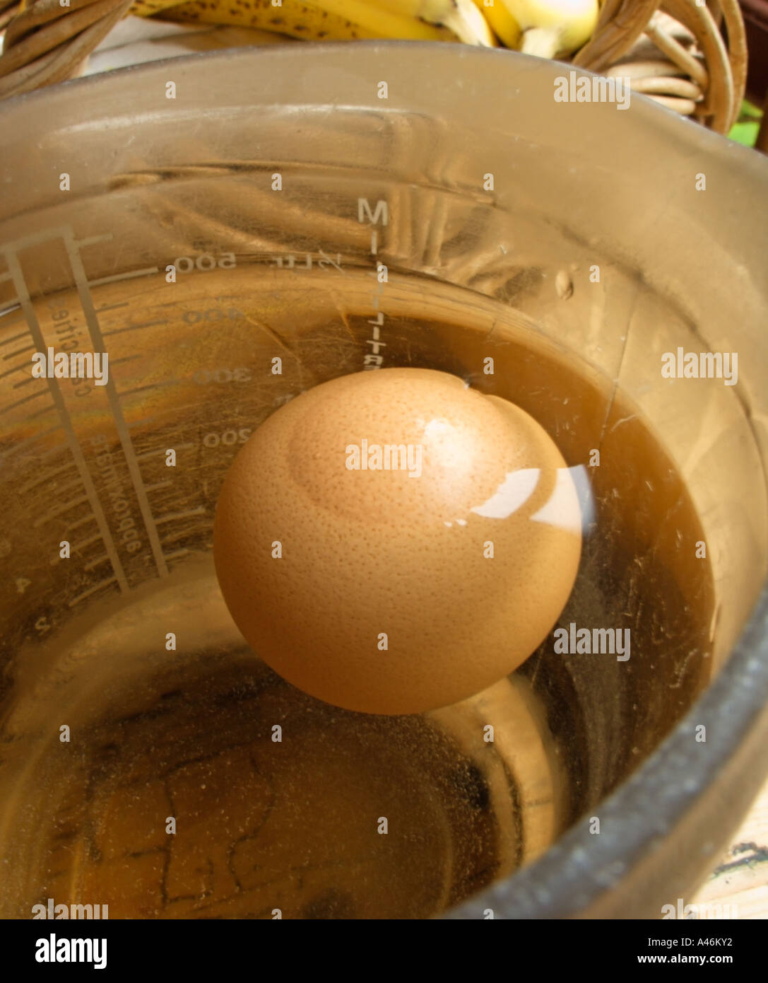 Testing Egg Freshness in Salted Water Stock Photo - Alamy