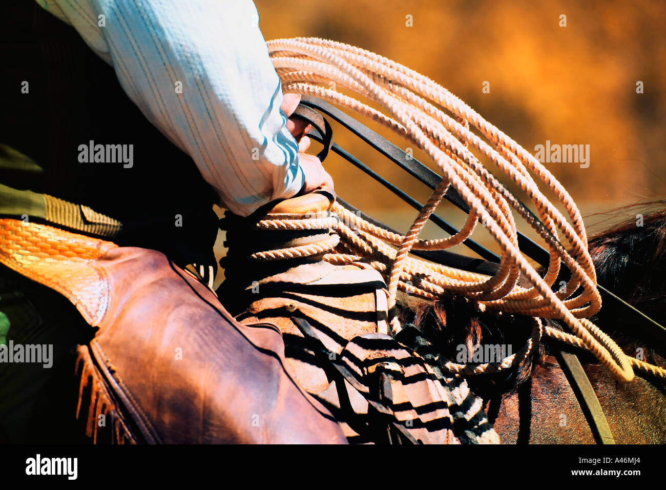 Wise Cowboy High Resolution Stock Photography and Images - Alamy