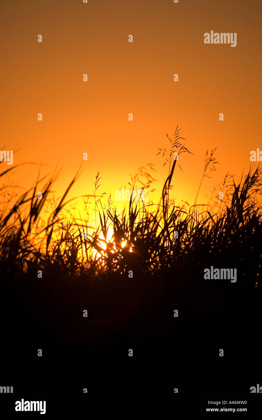 Sunset carson hi-res stock photography and images - Alamy