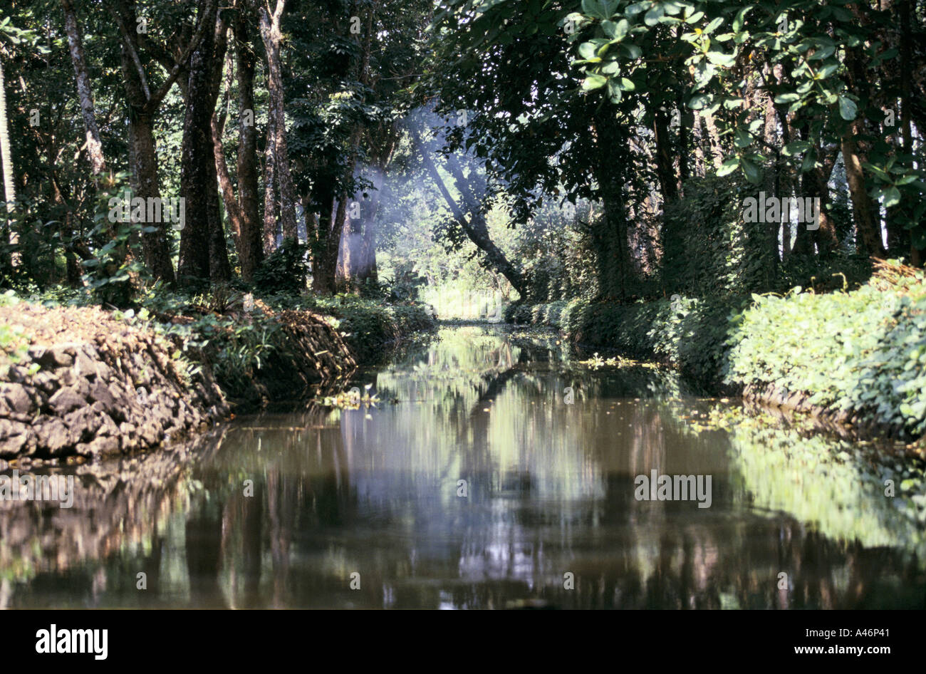 back waters kerala india Stock Photo - Alamy