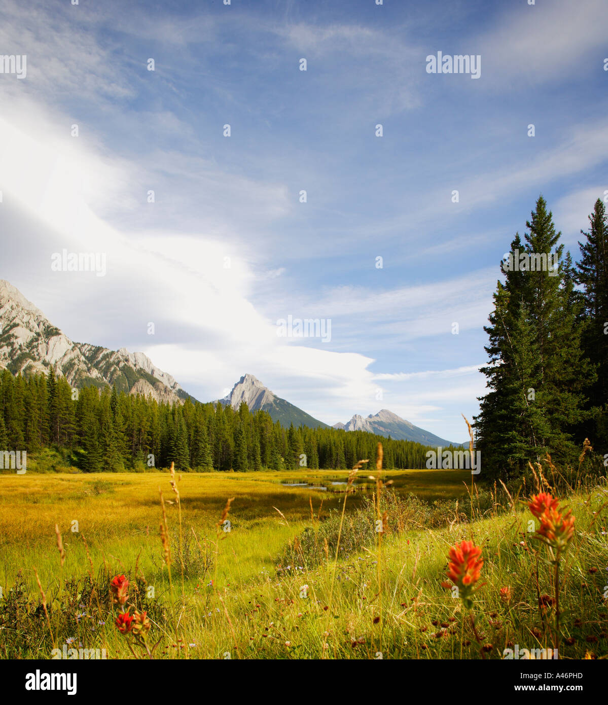 A mountain scene Stock Photo - Alamy