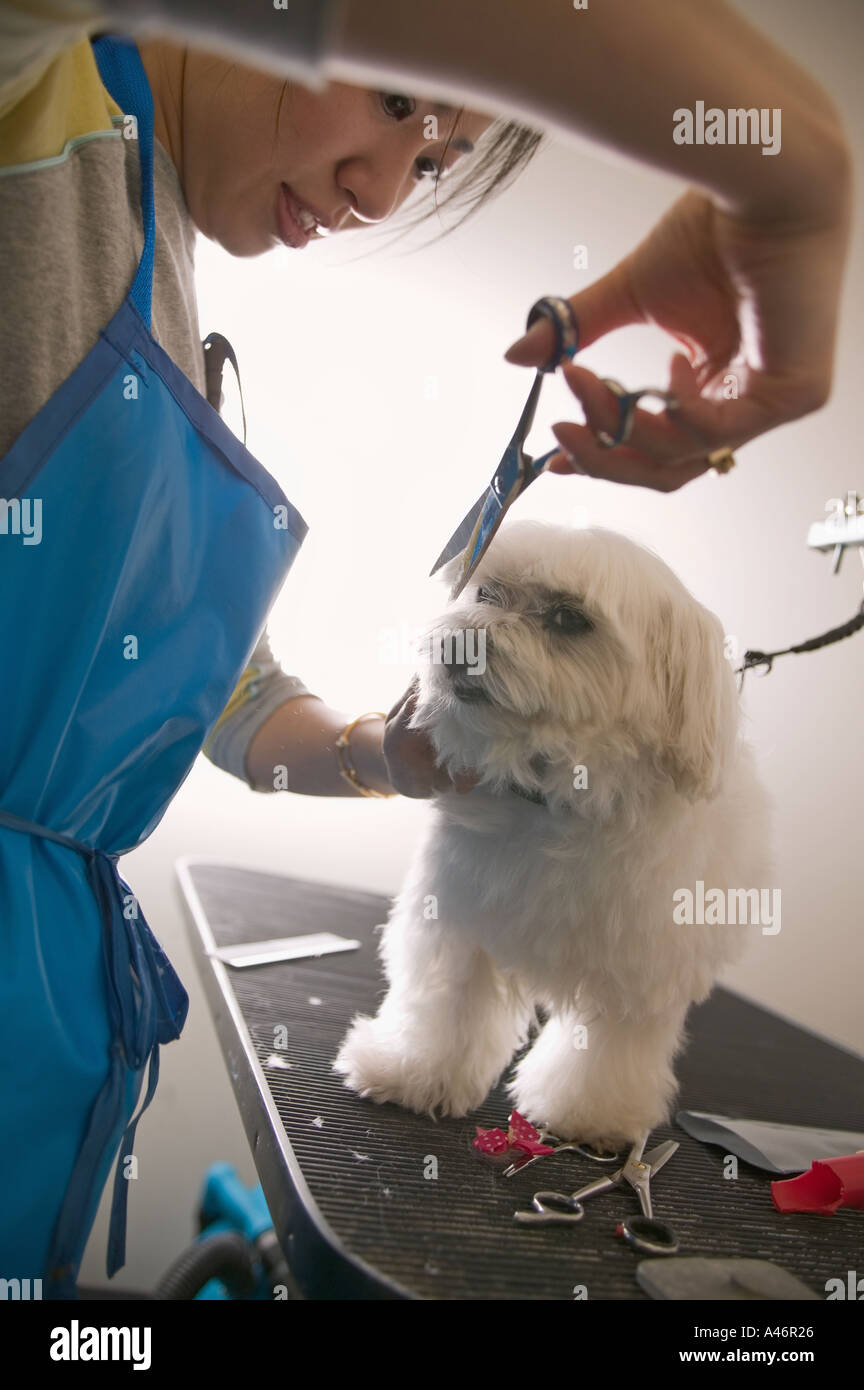 Fur trimming hi-res stock photography and images - Alamy