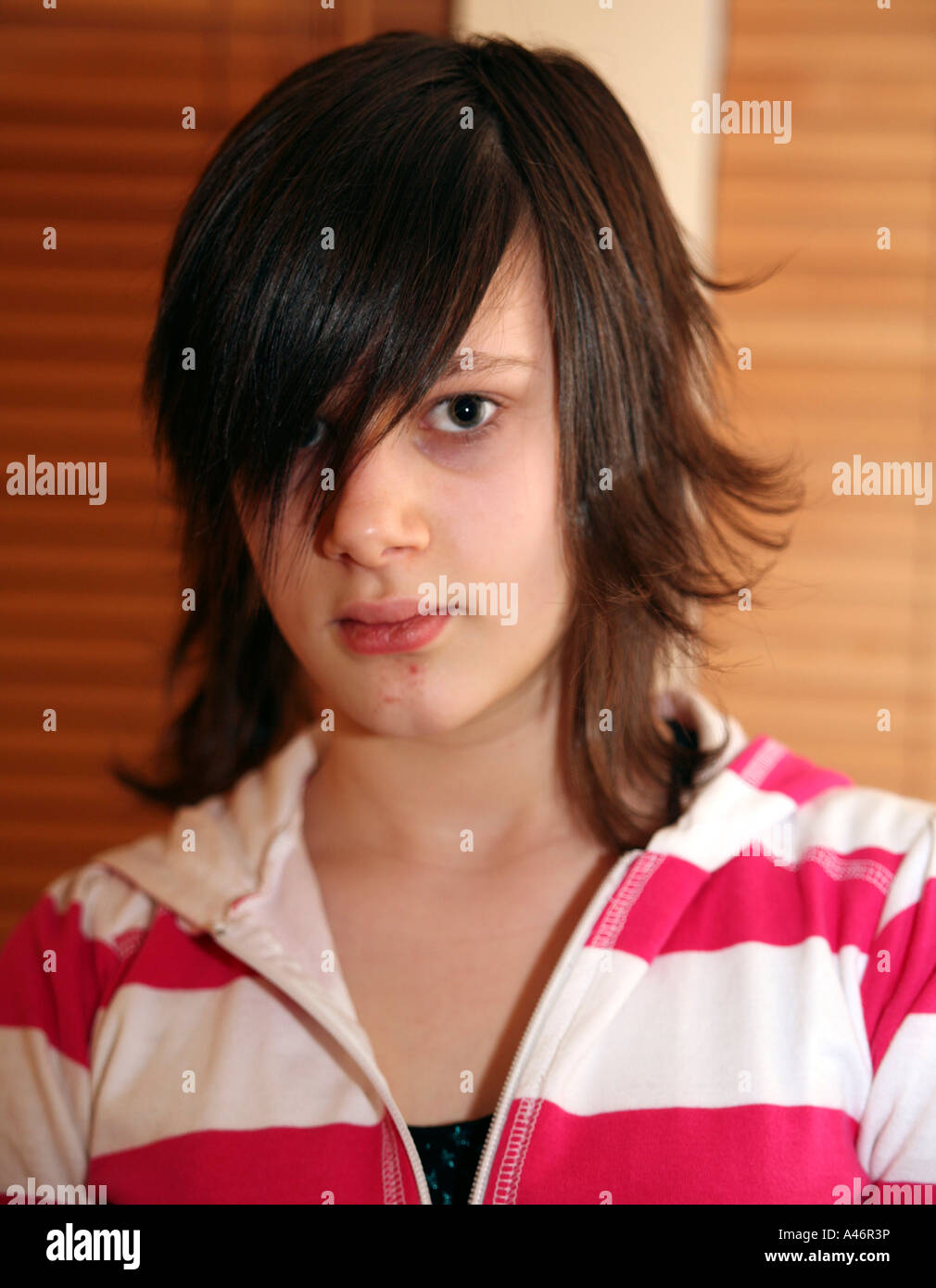 Young intelligent confident girl straight faced at the camera Stock ...