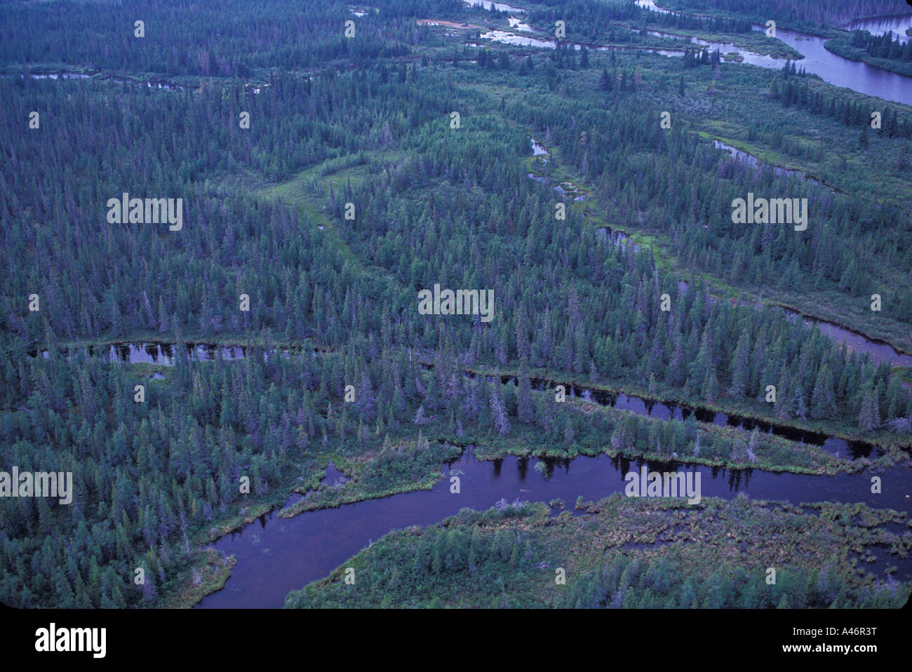 Aerial views of the boreal forest ecosystem taiga Hudson Bay Churchill ...