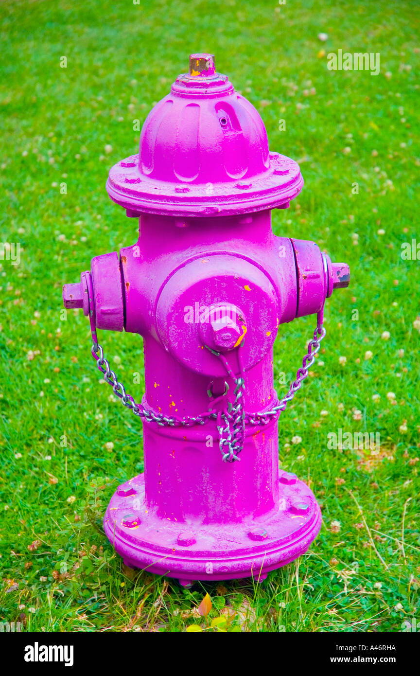 Purple fire hydrant hi-res stock photography and images - Alamy
