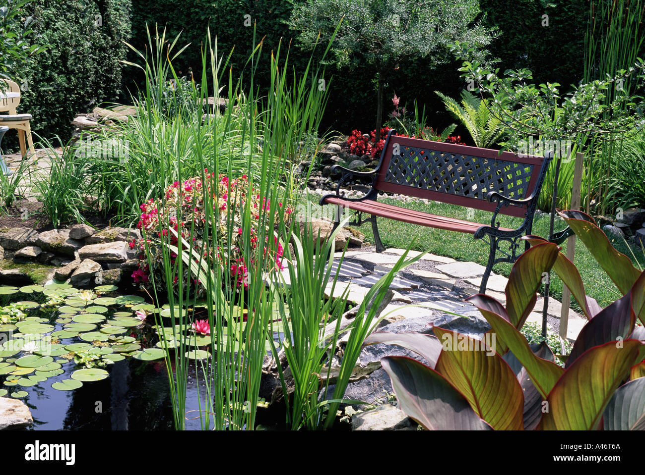 Garden pond and bench Stock Photo - Alamy