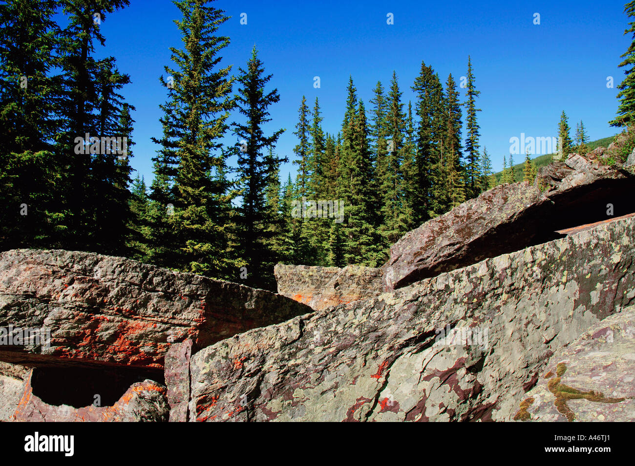 Large smooth flat rock Stock Photo - Alamy