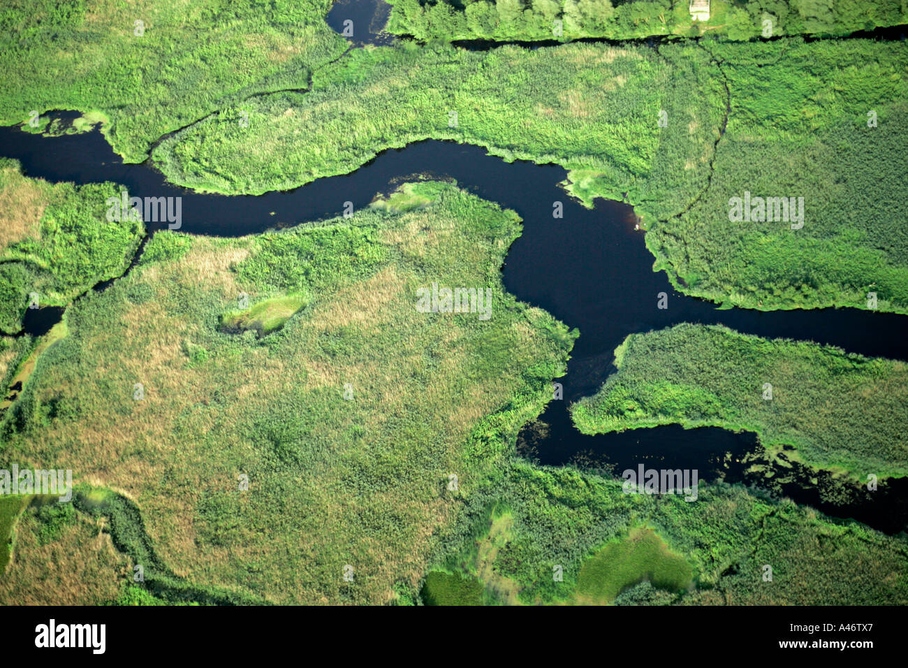 Narew national park hi-res stock photography and images - Alamy