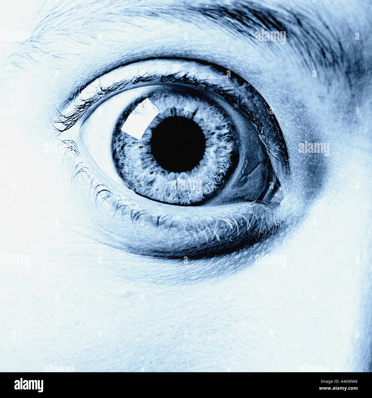 Black and white close up of a human eye Stock Photo - Alamy