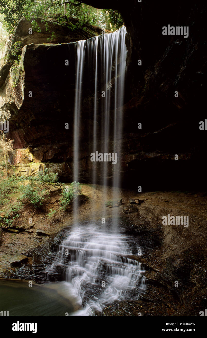 waterfall Northrup Falls Colditz Cove State Natural Area Tennessee ...
