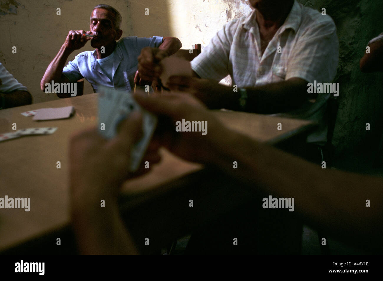 men in cafe play cards beirut lebanon Stock Photo - Alamy