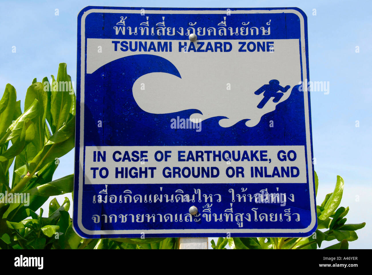 Tsunami hazard zone sign in a shrub at the beach Koh Libong Thailand ...
