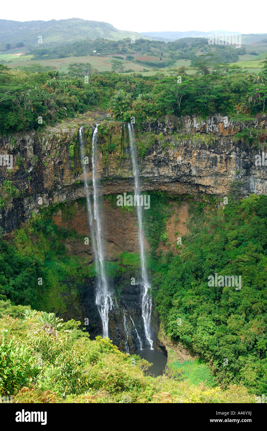 Tropical rainforest, Chamarel waterfalls, Mauritius Stock Photo - Alamy