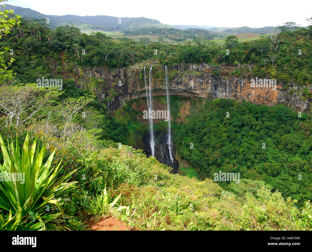 Tropical rainforest chamarel waterfalls mauritius hi-res stock ...