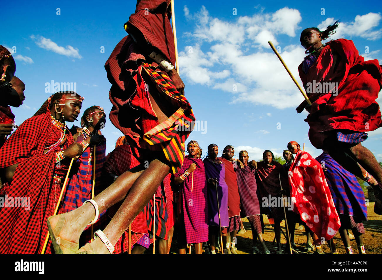 Maasai Warrior jumping dance Leap into the air to demonstrate strength ...