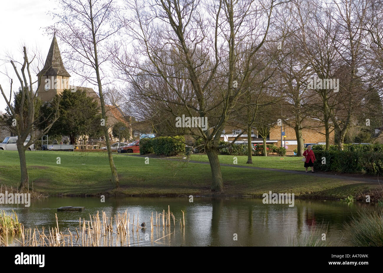 Sanderstead pond all saints church bullrushes hi-res stock photography ...