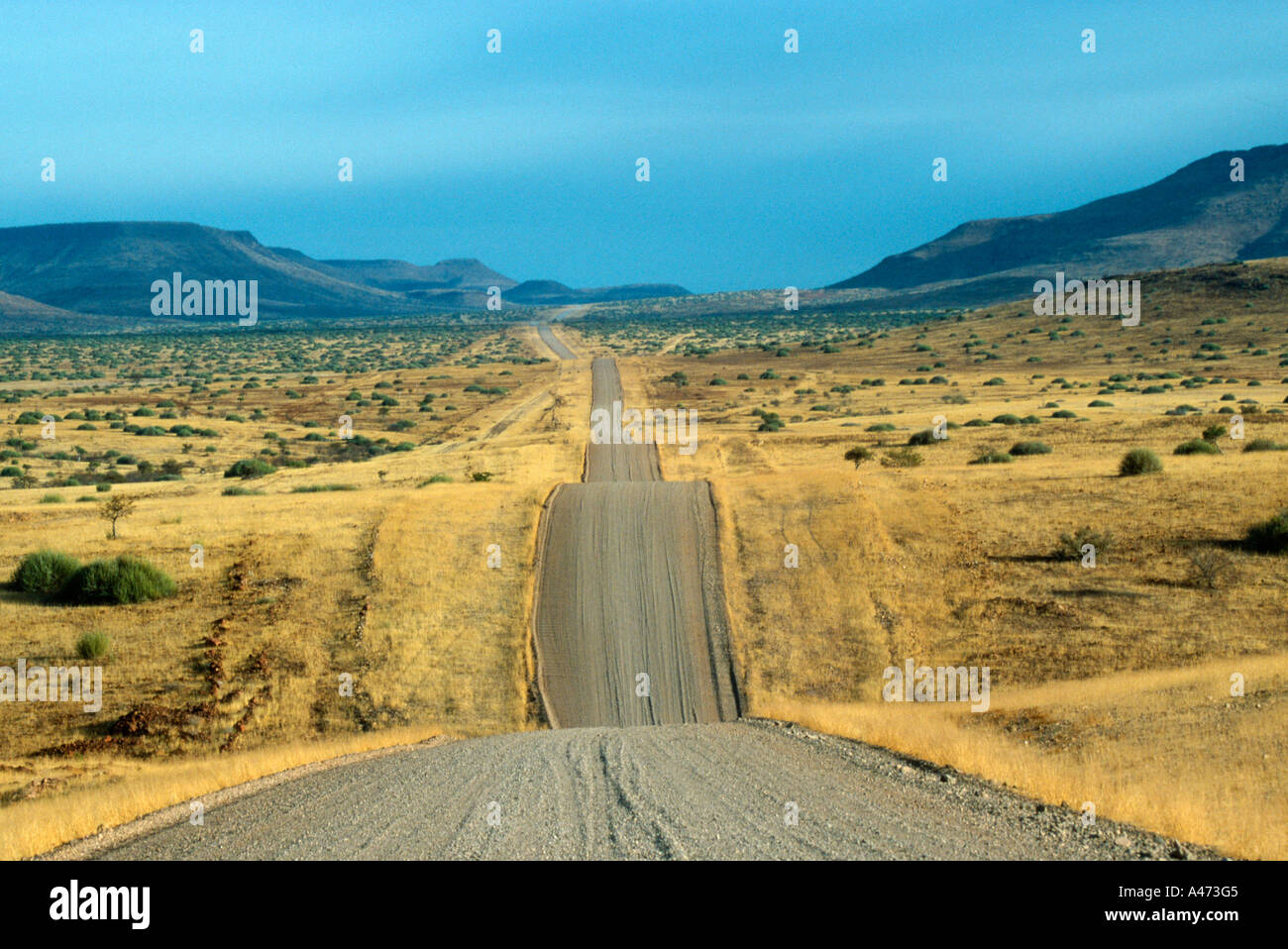 Semi deserts hi-res stock photography and images - Alamy
