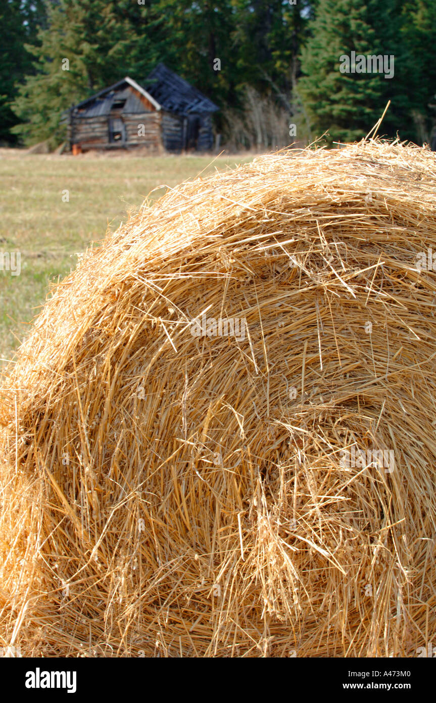 Haybale close hi-res stock photography and images - Alamy