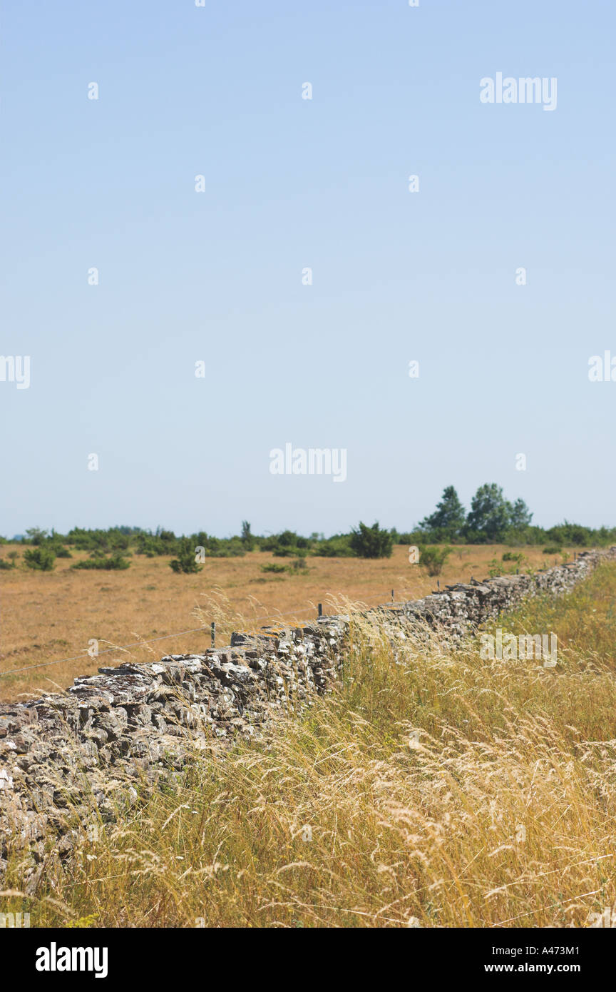 Stone wall. Öland, Sweden Stock Photo - Alamy