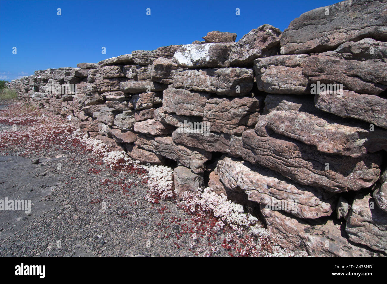 Stone wall. Alvaret ,Öland, Sweden Stock Photo - Alamy