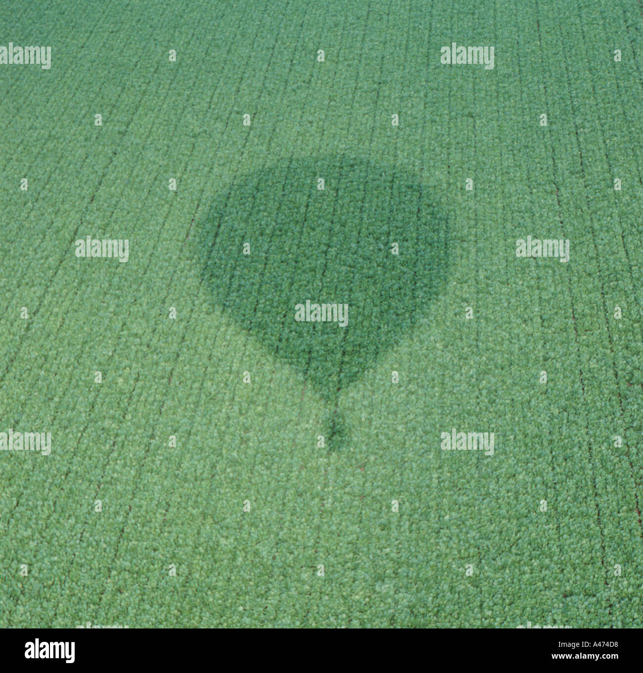 Balloon on field hi-res stock photography and images - Alamy