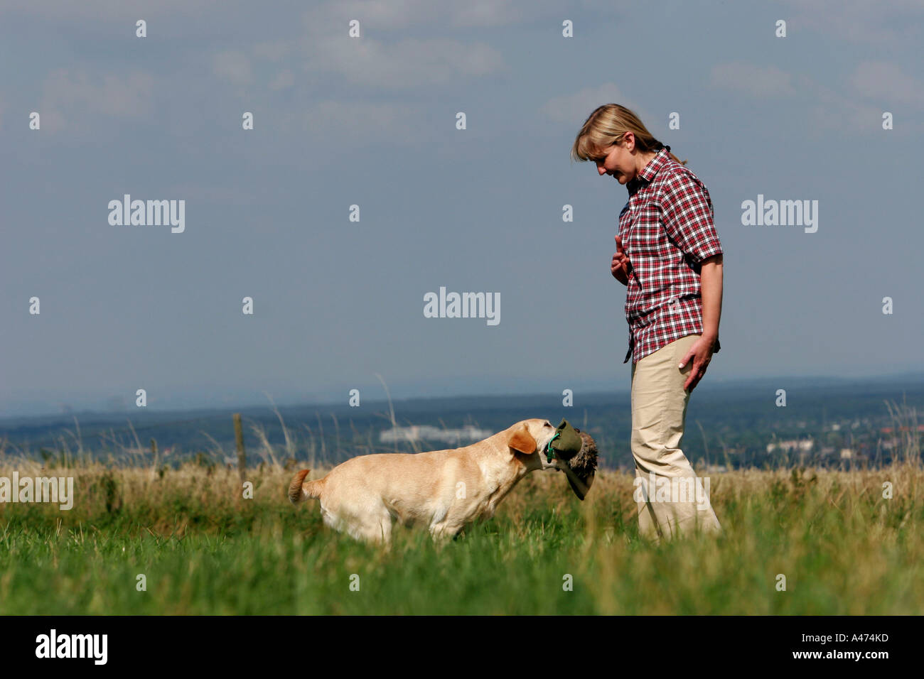 Woman with labrador retriever hi-res stock photography and images - Alamy