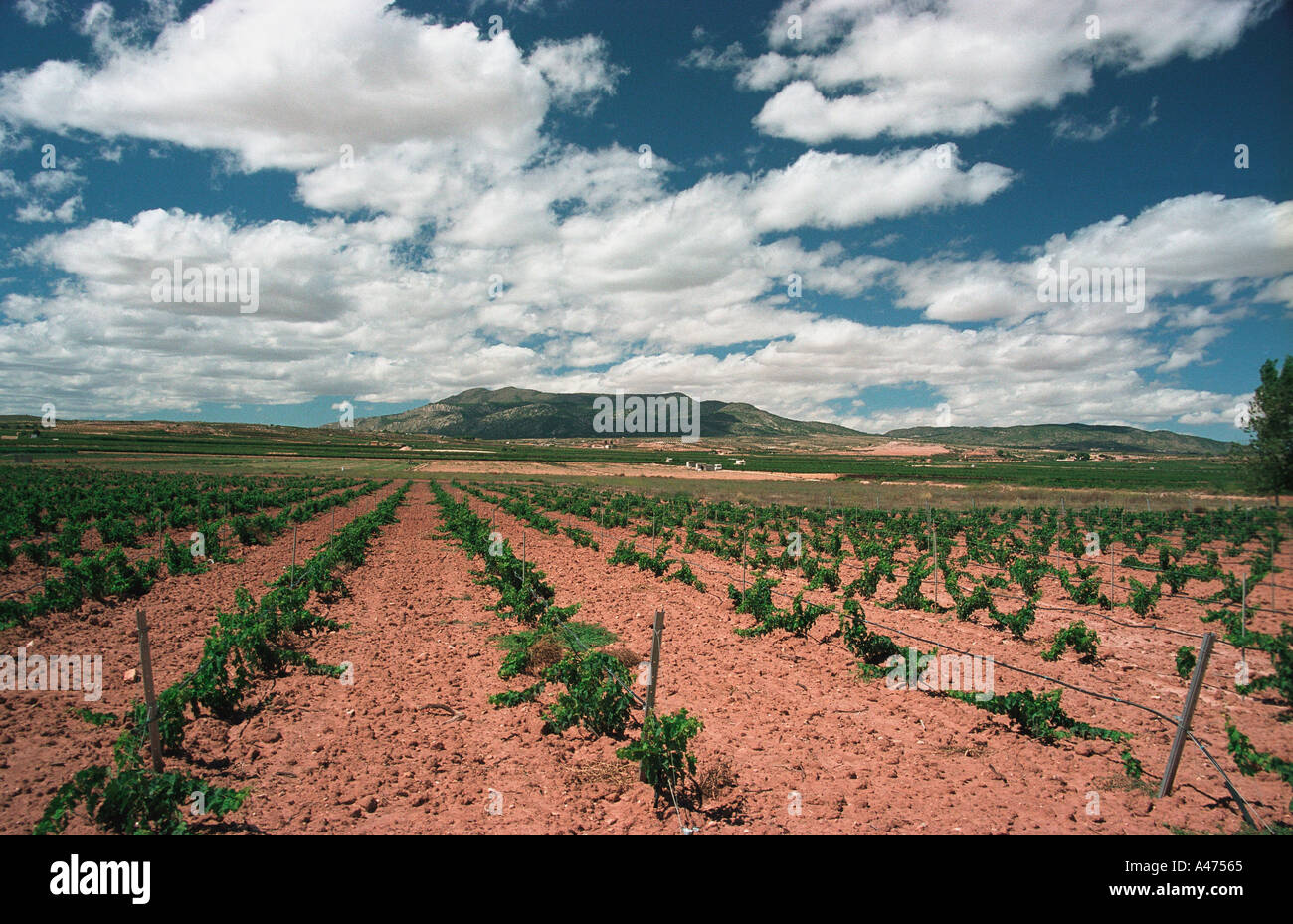 Monovar hi-res stock photography and images - Alamy