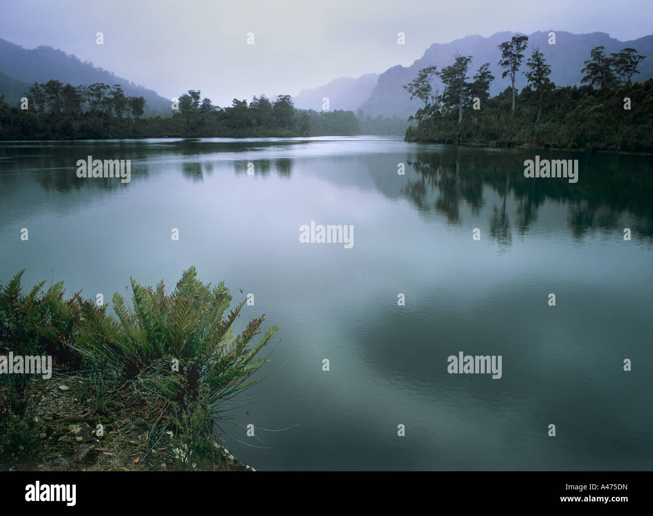 Lake Rosebery Tasmania Australia Stock Photo - Alamy
