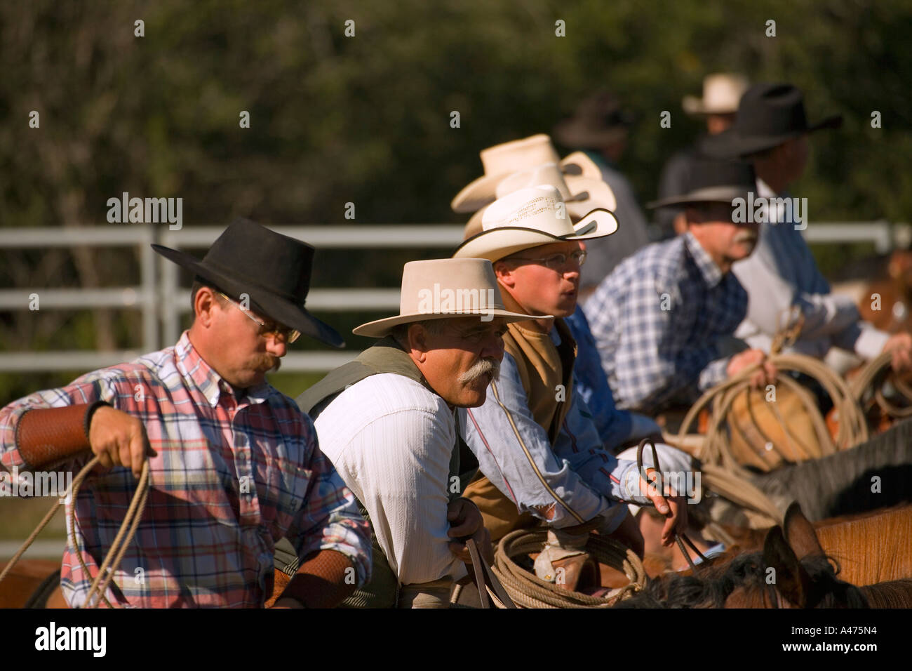 Gan2136 hi-res stock photography and images - Alamy