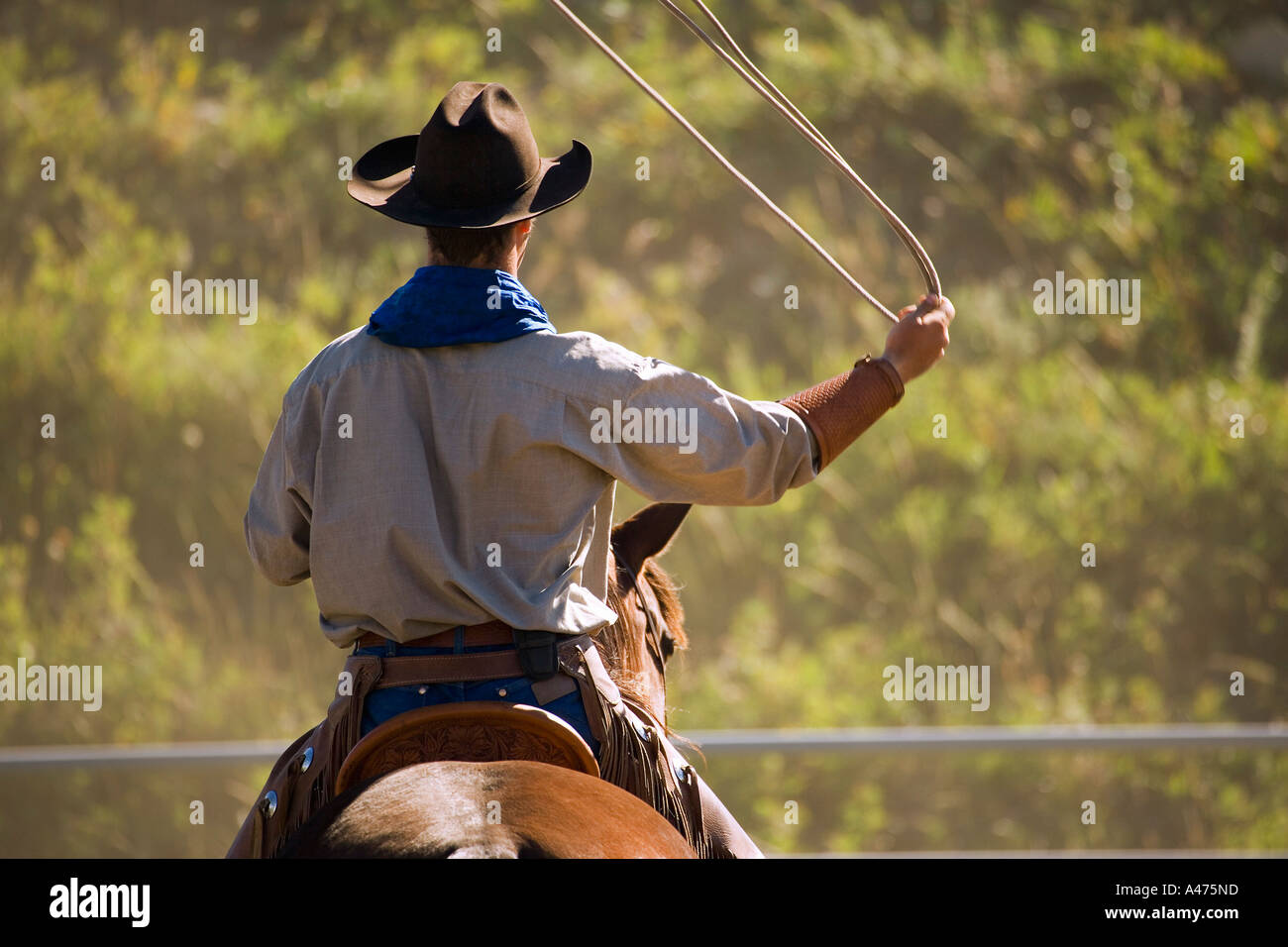 Cowboy with lasso Stock Photo - Alamy