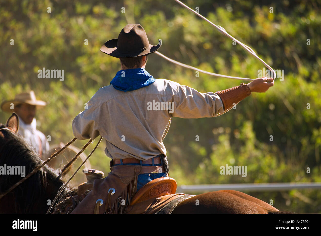 Cowboys Riding Historical Stock Photos & Cowboys Riding Historical ...